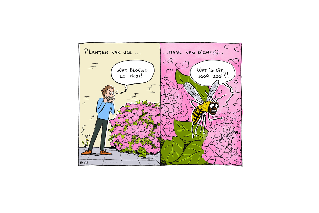 Inheems en zonder gif. Maar waarom eigenlijk? - Hilversum100