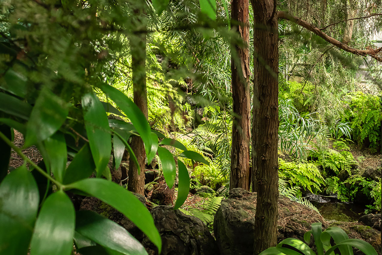 Speciale rondleiding Pinetum - Hilversum100