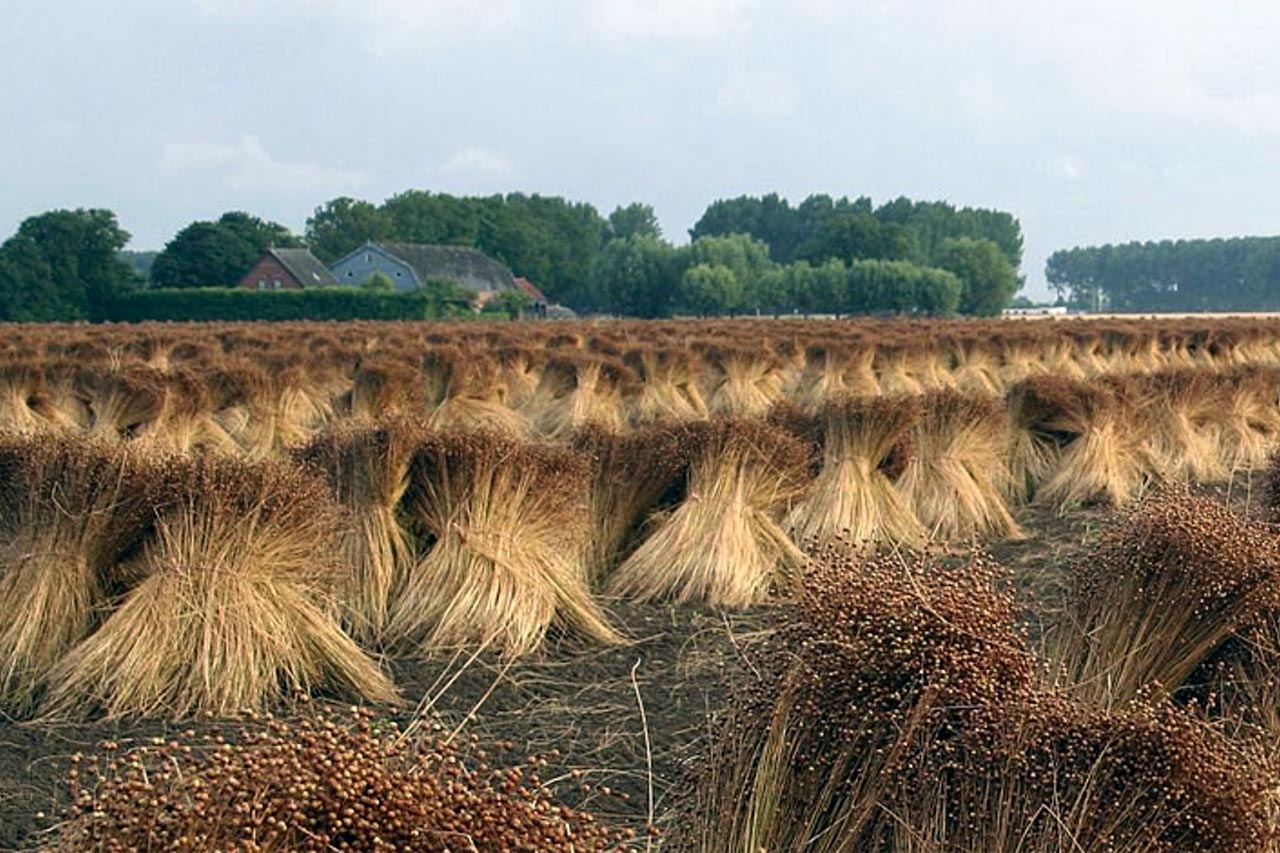 Waarom kiezen voor biobased isolatie? - Hilversum100